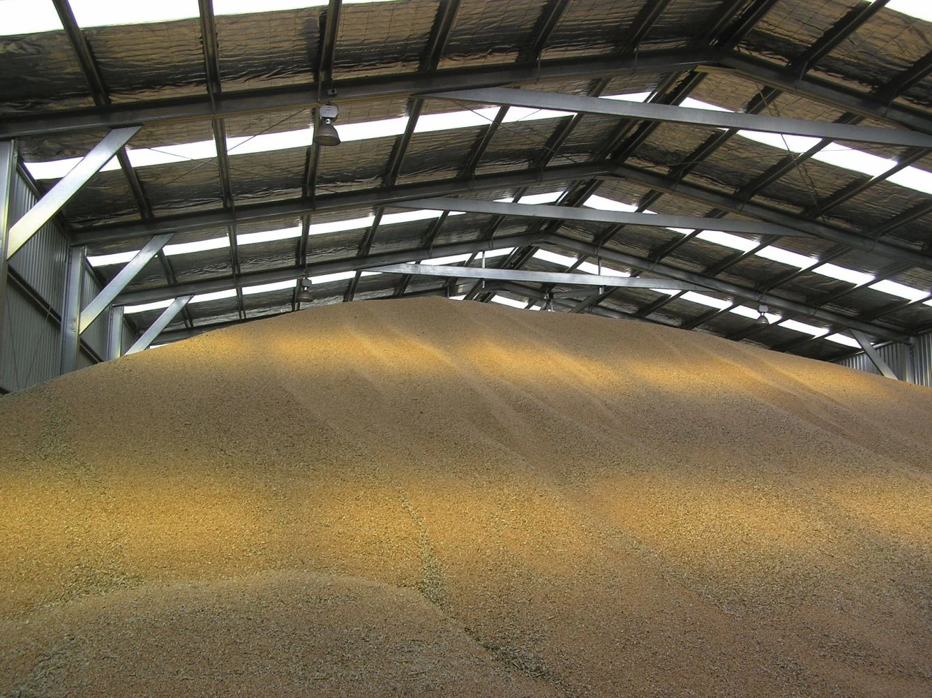 Grain & Feed Storage Sheds | COLORSTEEL® | Wide Span Sheds
