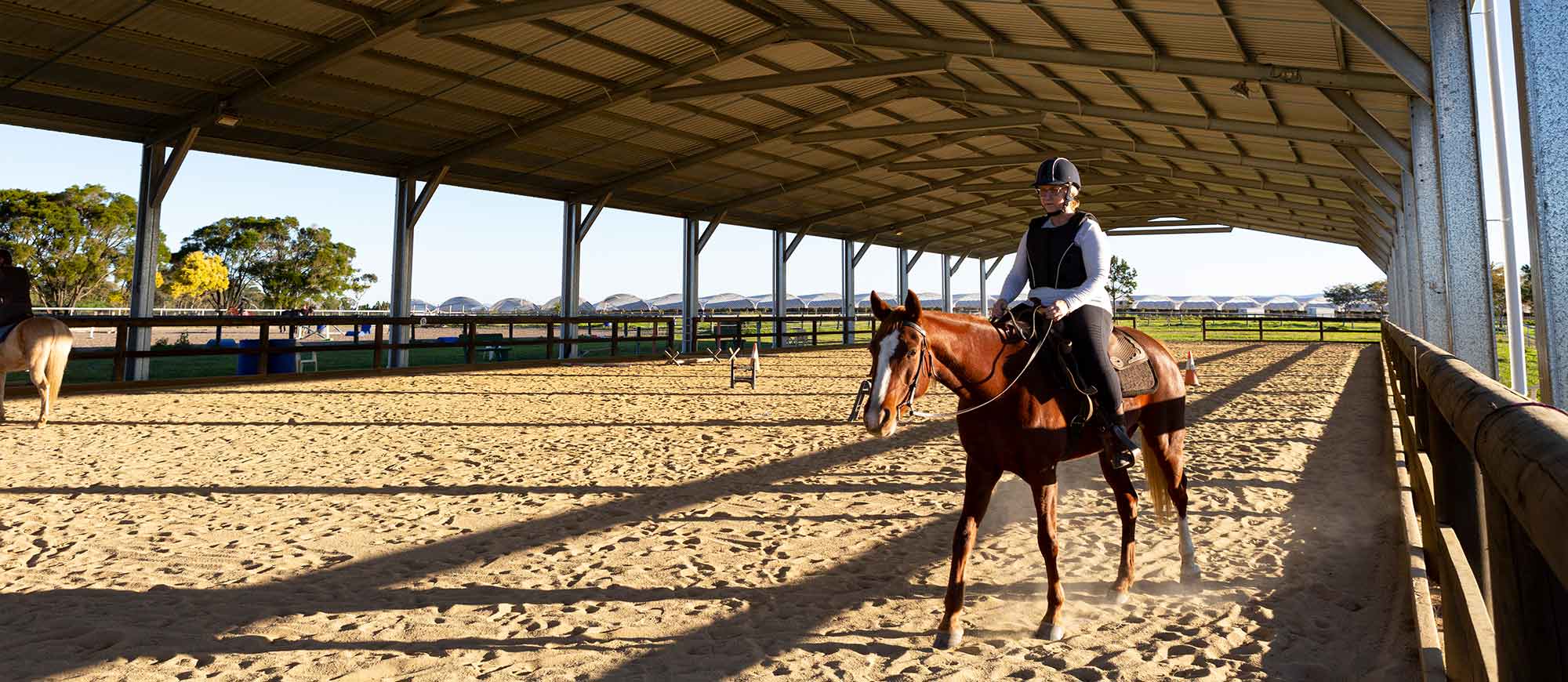 Horse Stables & Sheds | Custom Designed | Wide Span Sheds